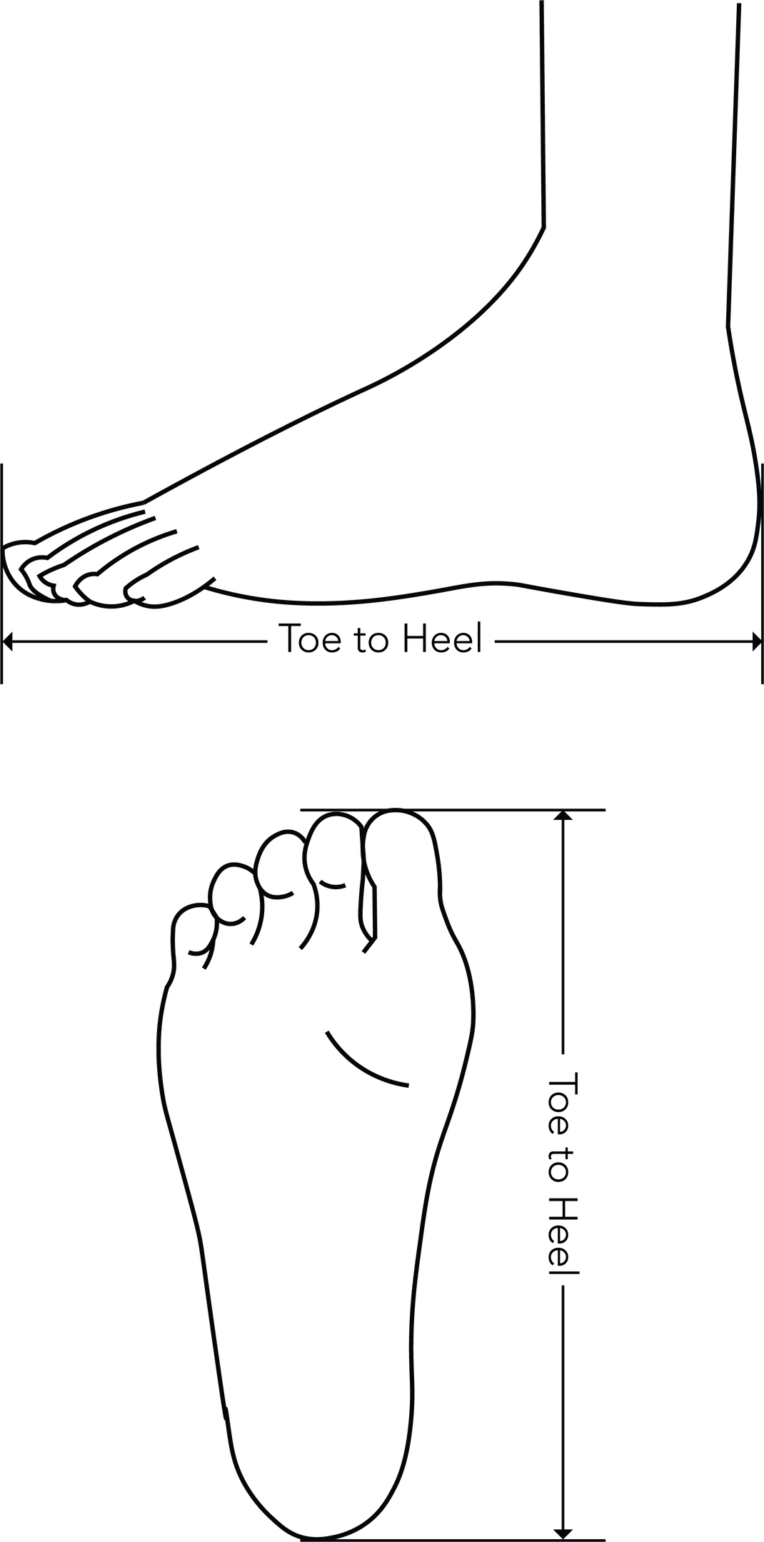 Shoe Size Chart & FAQ – By Amica